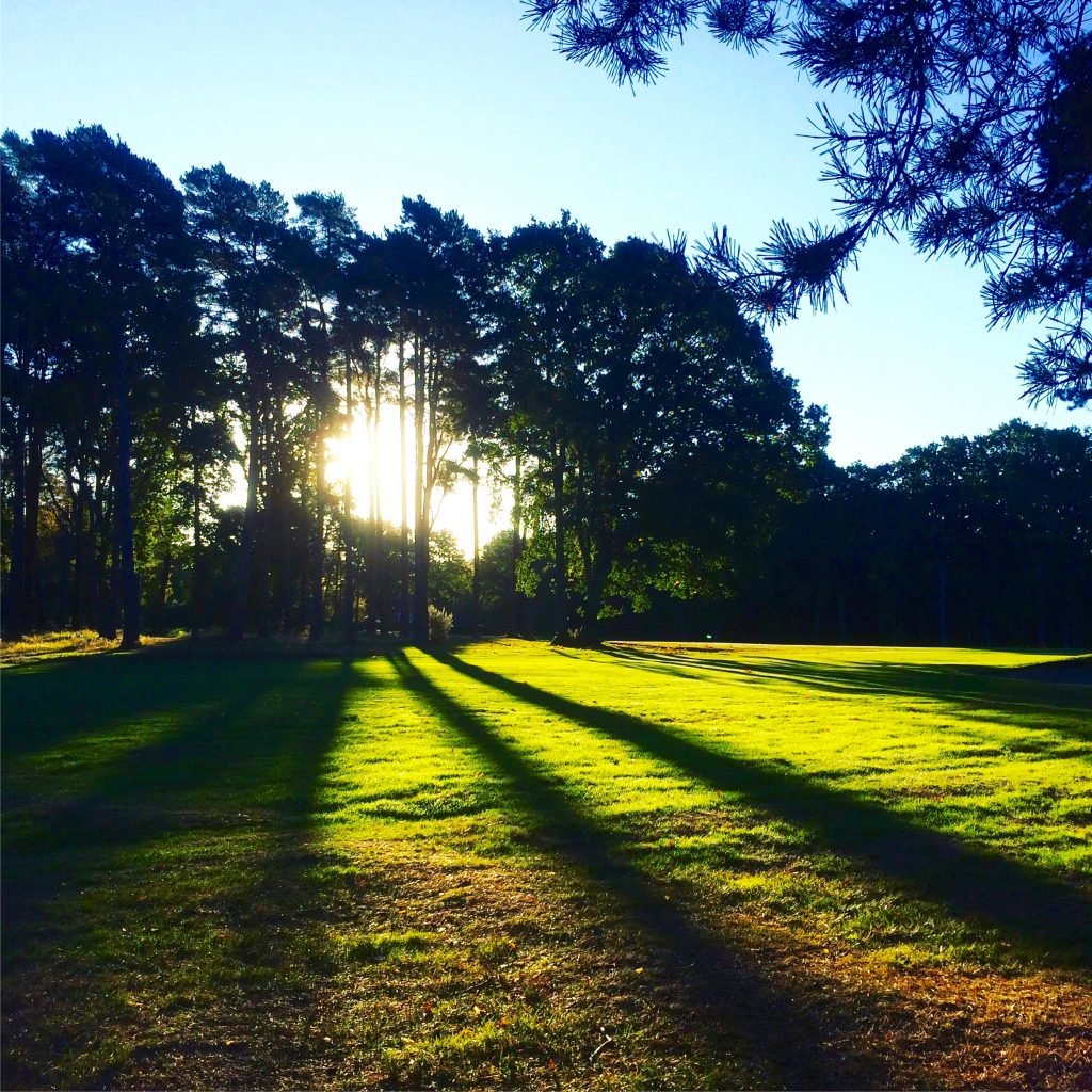 Vitamin D deficiency risks more than just bone health - Eleanor Strang ...