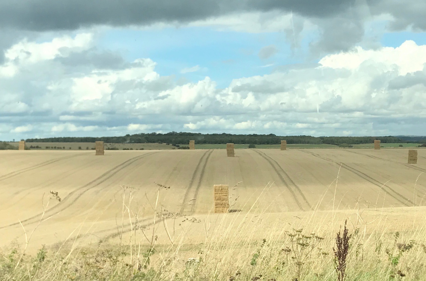 Gluten Testing - Eleanor Strang Nutrition