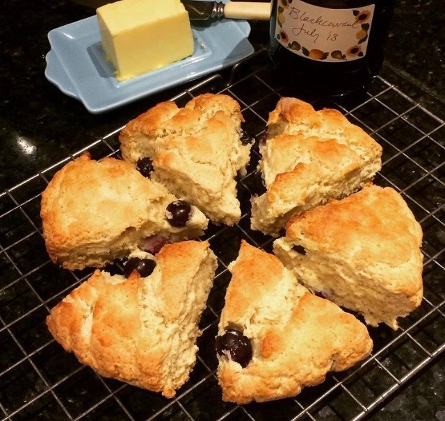 GF blueberry Scones - Eleanor Strang Nutrition